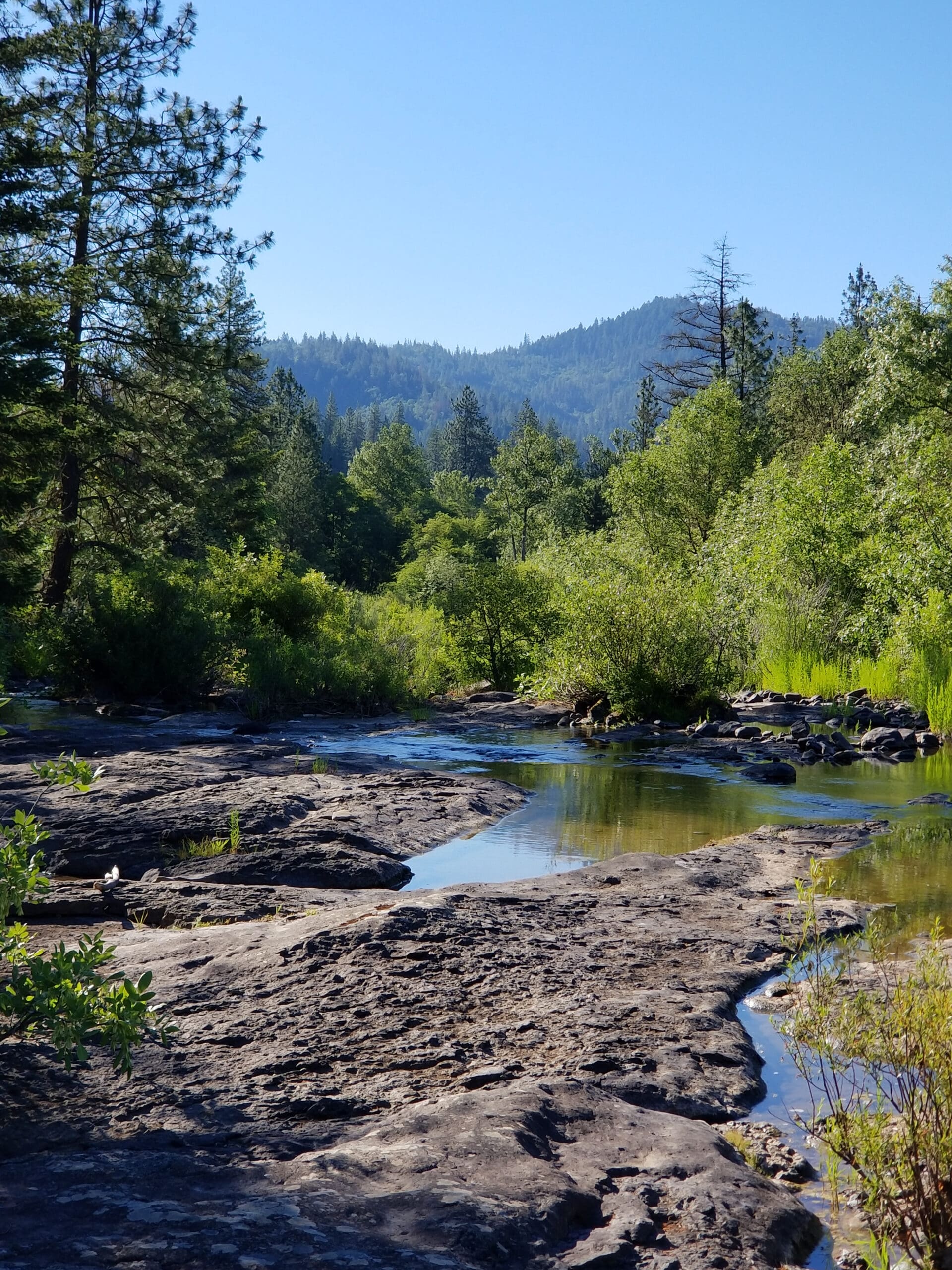 Fast and Reliable Internet Services in Shady Cove, Oregon - Hunter ...